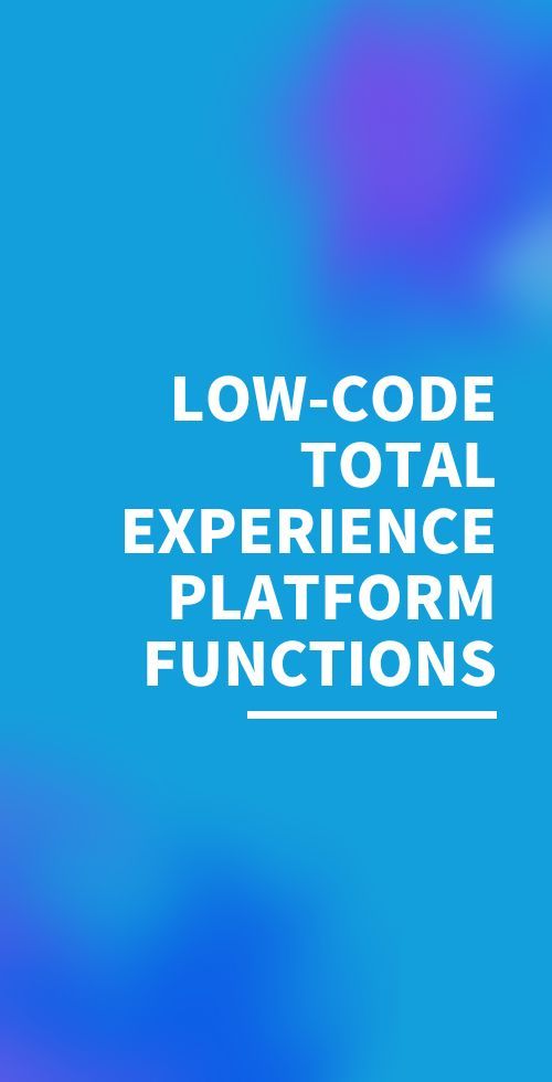 Differences Between ERP and Low-Code Total Experience Platforms